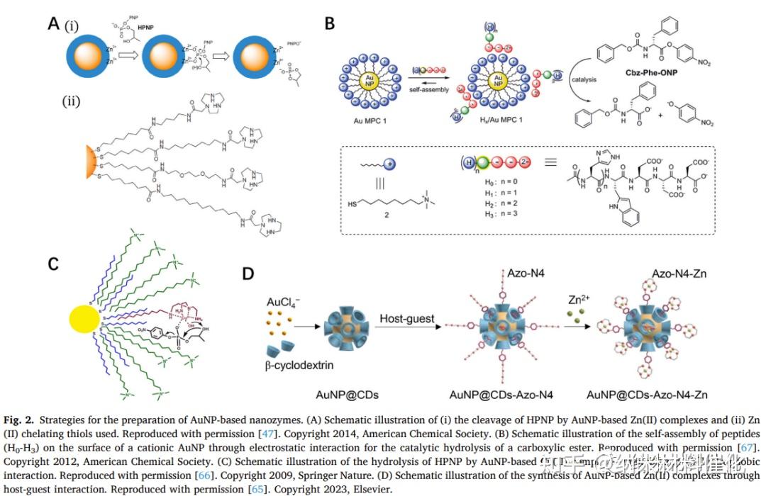 【Adv.Colloid Interface Sci.】水解纳米酶：制备、性质和应用 - 知乎