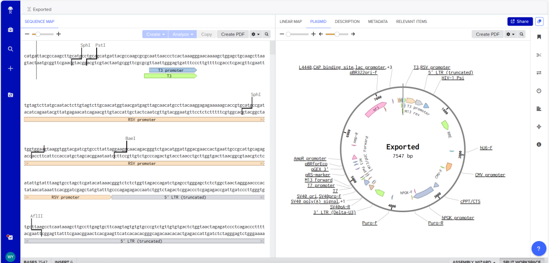 不止SnapGene，鹰谷免费版InSequence序列编辑器，引物设计、序列比对、质粒设计看过来！ - 知乎