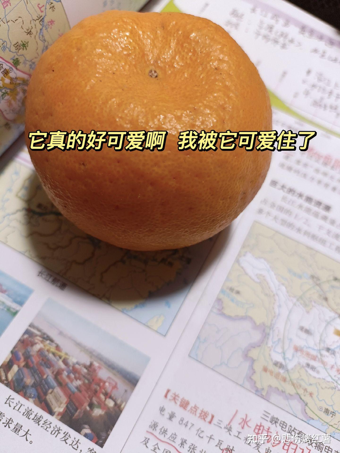 《吃橘子有感》 - 知乎