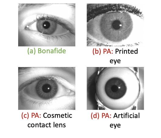 WACV 2021 论文大盘点-GAN篇 - 知乎