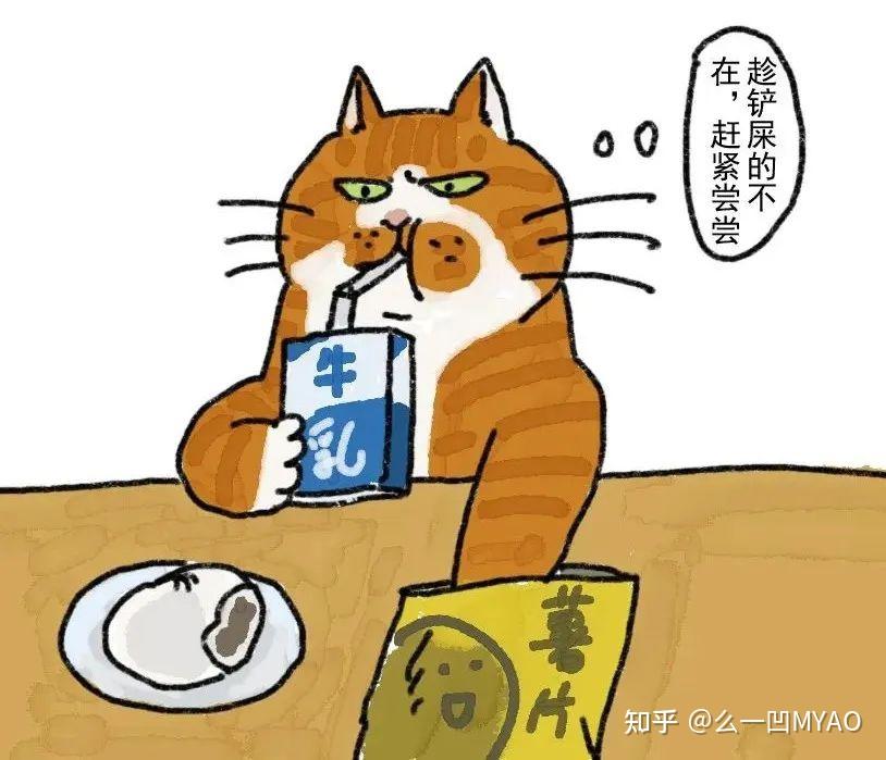 救命!我的猫不仅放屁,还特别臭! 知乎