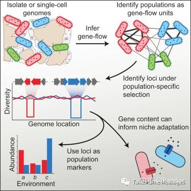 【文献总结】微生物群体基因组学助力群落生态学 - 知乎