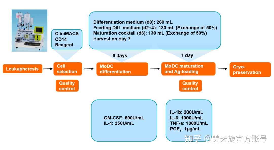CliniMACS Prodigy®非CAR修饰技术基础上的细胞制备领域的应用 - 知乎