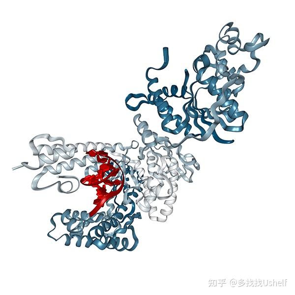 体内实验级重组抗小鼠PD-L1小鼠LALAPG Kappa单克隆抗体 - 知乎