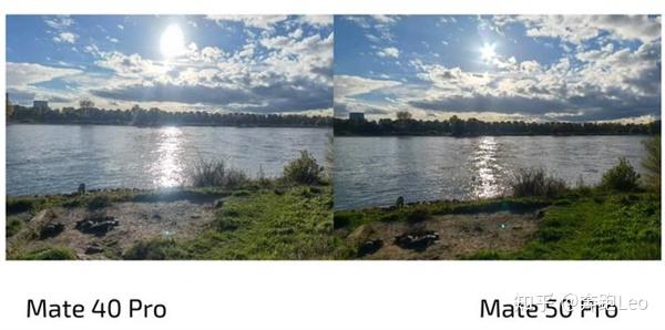 华为Mate50 Pro和荣耀Magic4 至臻版拍照对比