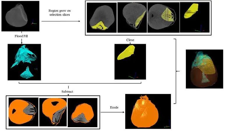 【Simpleware】利用 Micro-CT 技术快速分析玉米籽粒的饱满度特性 - 知乎