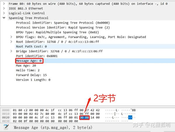 RSTP报文格式 - 知乎