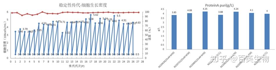 全球商业化亚授权的CHOK1BN宿主细胞，保证您申报无忧 - 知乎