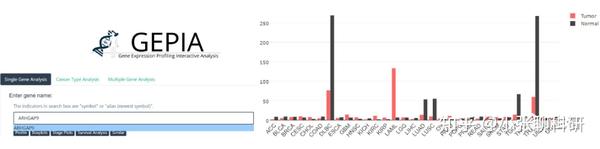 生信实操丨是的你没看错！0代码复现4分生信文章的7图1表 - 知乎