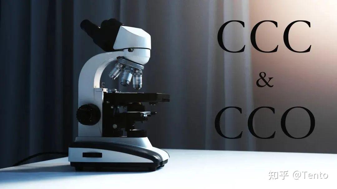 一文带你了解加拿大计算机竞赛（CCC） - 知乎