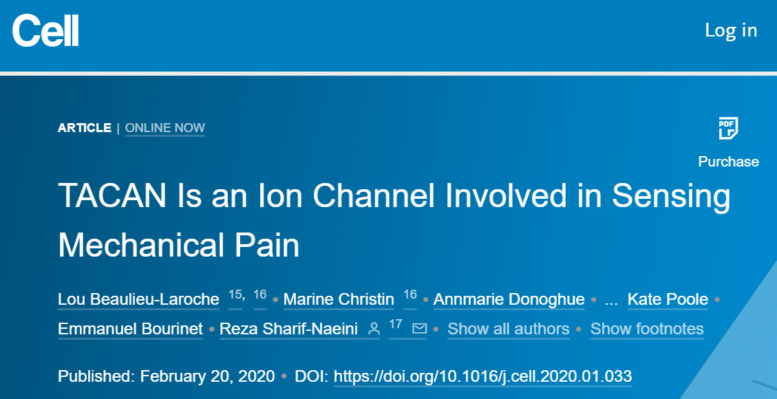 Cell | 疼痛如何被感知？离子通道蛋白—TACAN - 知乎