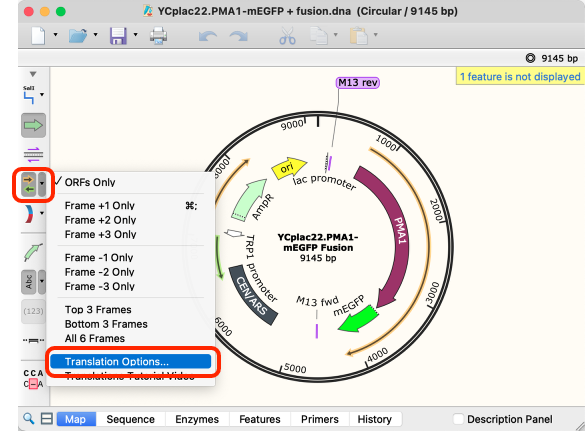 SnapGene操作指南 | 如何从DNA序列得到蛋白质序列 - 知乎