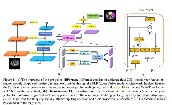 基于Transformer的医学图像分割15篇论文及开源代码 - 知乎