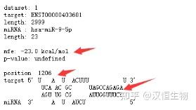 常用网站介绍——BiBiServ预测mir与靶基因结合位点 - 知乎