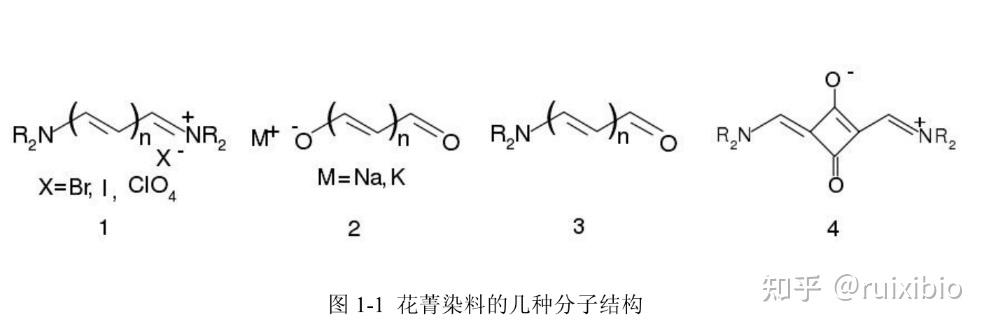 环形荧光染料IR系列-IR820/环形ICG/环形IR820 J-聚集体 - 知乎