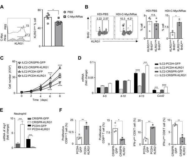 【合作文章】2型固有淋巴细胞通过介导CXCL-2中性粒细胞诱导肝癌微环境免疫抑制 - 知乎