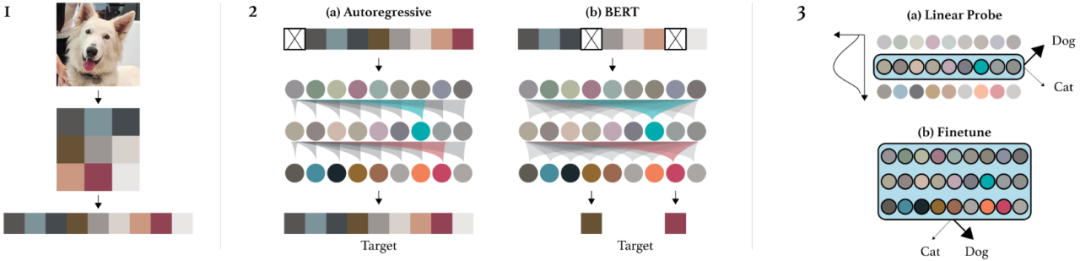 CV和NLP中的无监督预训练(生成式BERT/iGPT和判别式SimCLR/SimCSE) - 知乎