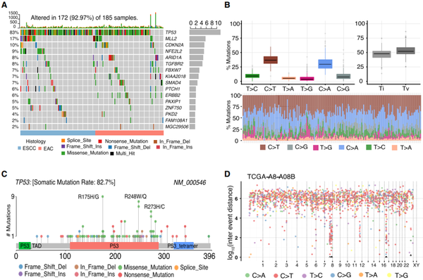 一文学会R包 maftools 简介使用 - 知乎