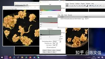 Image J 自动测量不规则图片面积 - 知乎
