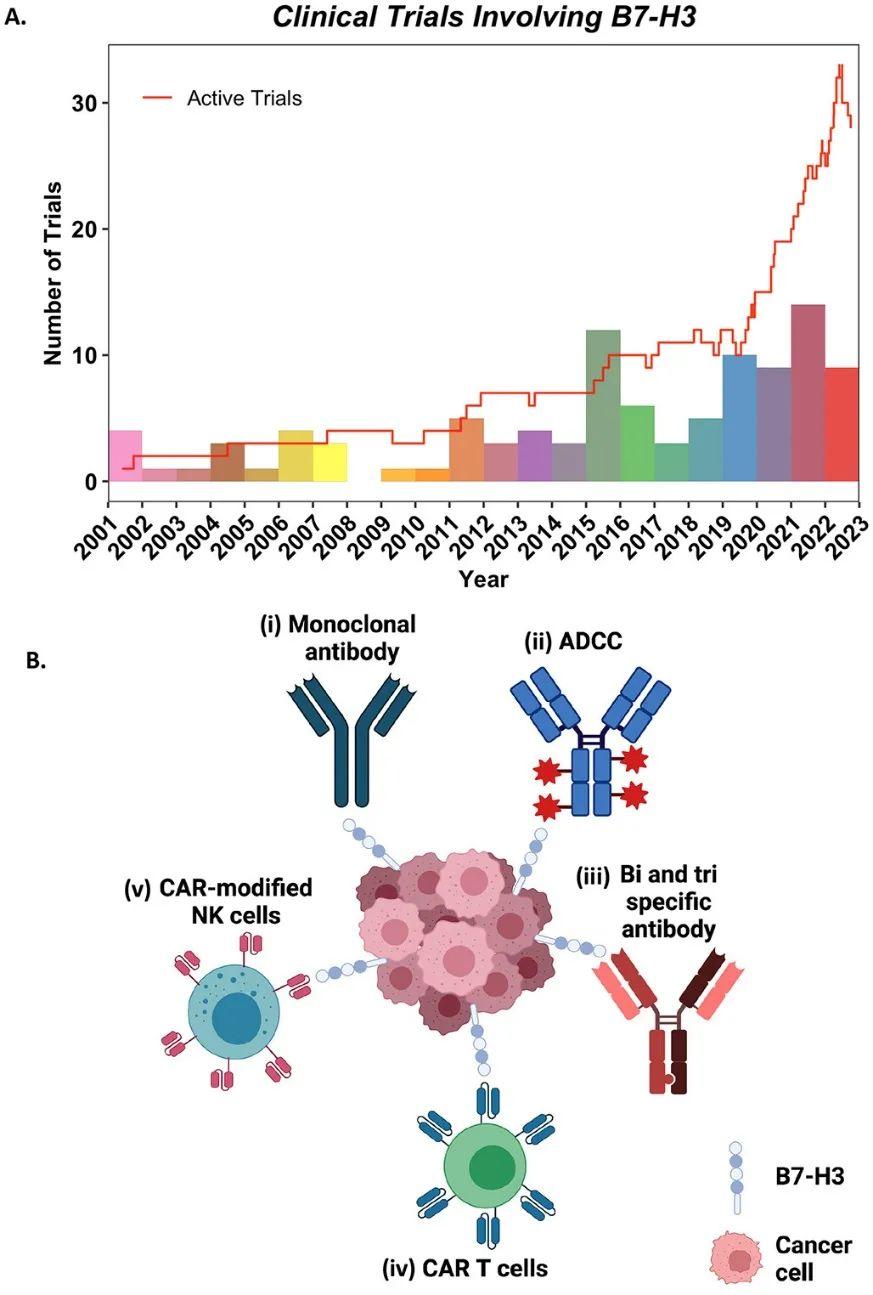 癌症新靶点：靶向免疫抑制检查点分子B7-H3 - 知乎