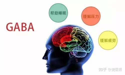 一键带你了解GABA！ - 知乎