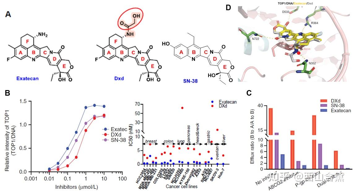 国内外知名企业ADC技术平台(第八期，普众发现) - 知乎