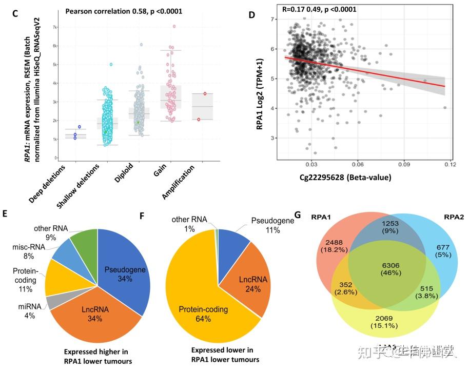 7.5分1区SCI，基因集单肿瘤分析+实验，自有样本结合公共数据库的研究典范 - 知乎
