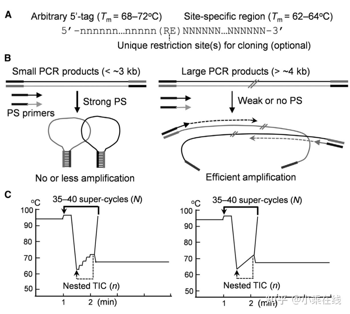 STI PCR: An efficient method for amplification and de novo synthesis of ...