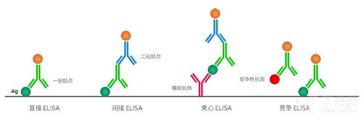 ELISA实验类型及原理 - 知乎