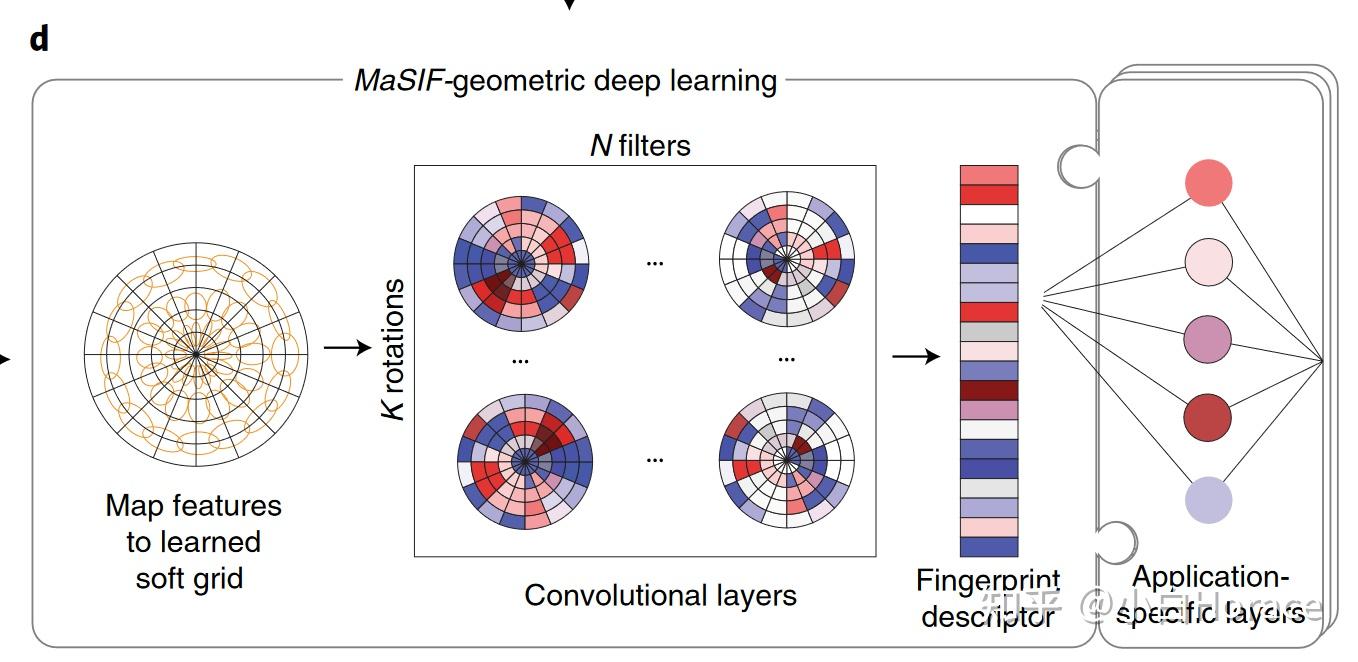 【AIDD系列】MaSIF系列论文详解，揭开蛋白表面指纹的面纱 - 知乎