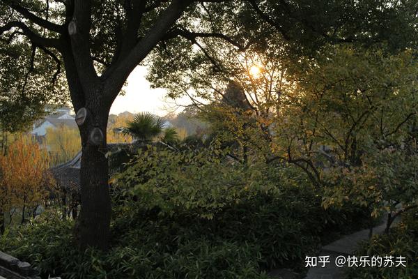 小白试水5D2 - 知乎