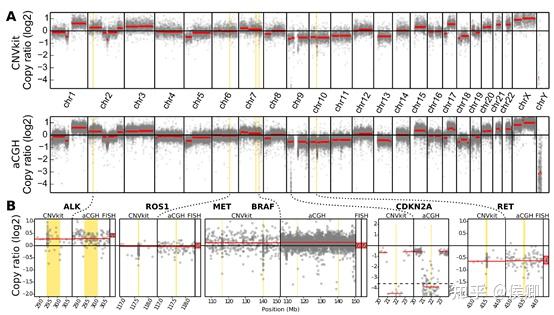 CNVkit、CNVpytor(CNVnator的python版)以及低深度（0.1×-1×）WisecondorX 进行cnv分析 - 知乎