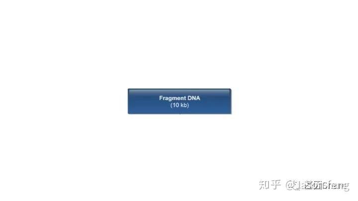 Pacbio测序原理以及SMRT bell文库构建流程简述 - 知乎