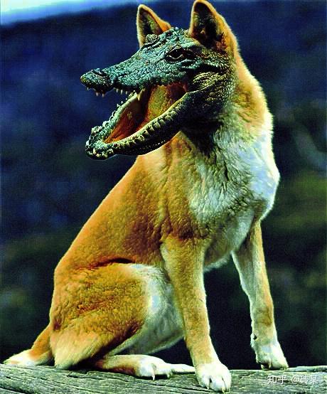 【渣翻缓更】一些比较冷门的活恐龙UMA - 知乎