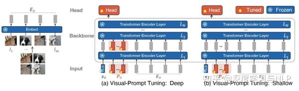 一文详解Prompt学习和微调（Prompt Learning & Prompt Tuning）