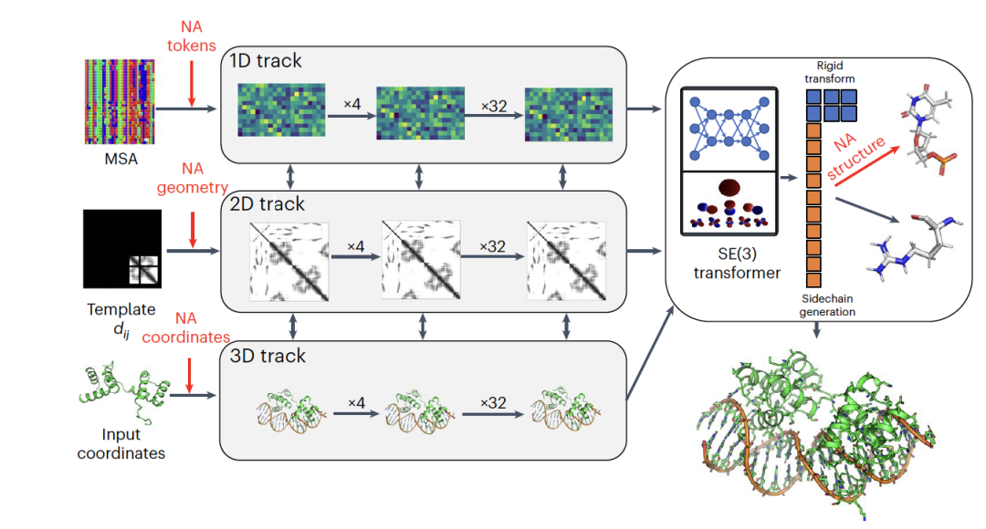 Nat. Methods | RoseTTAFoldNA准确预测蛋白质-核酸复合体 - 知乎