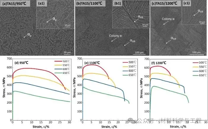 西安理工《IJP》：揭示钛合金高温逆Hall-Petch行为和软化机制 - 知乎