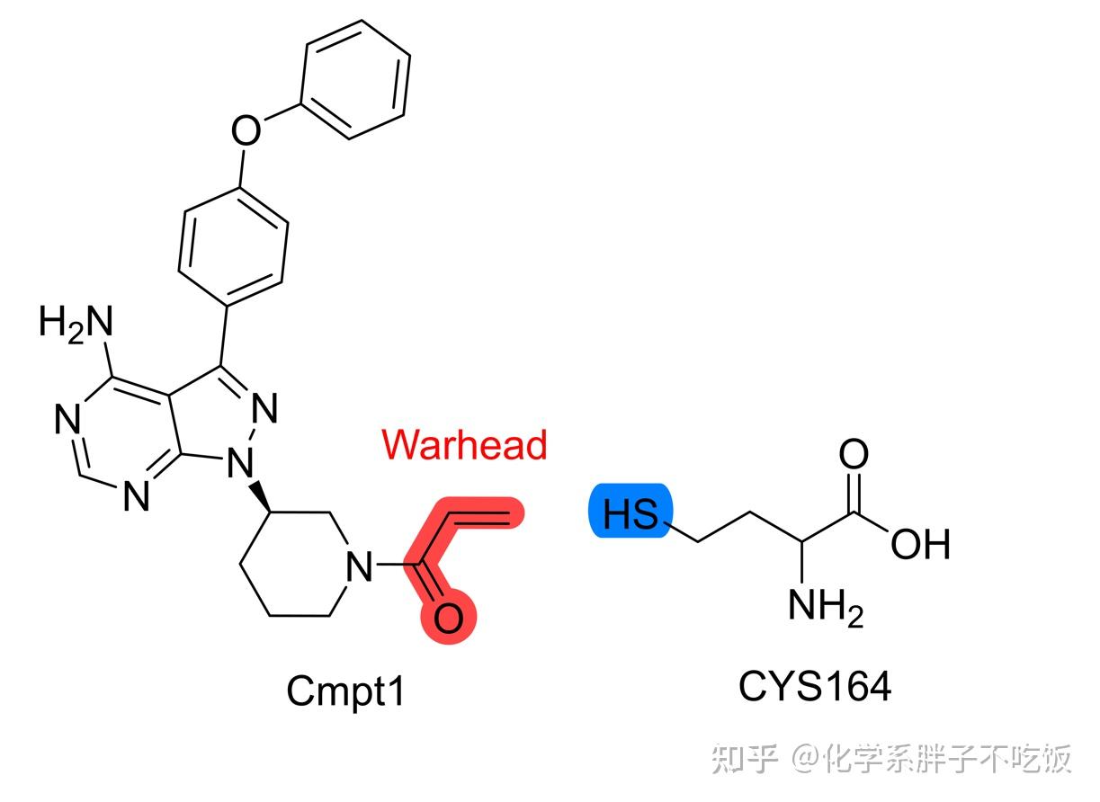 【保姆级】ADFR共价对接 (Covalent Docking) 教程 - 知乎