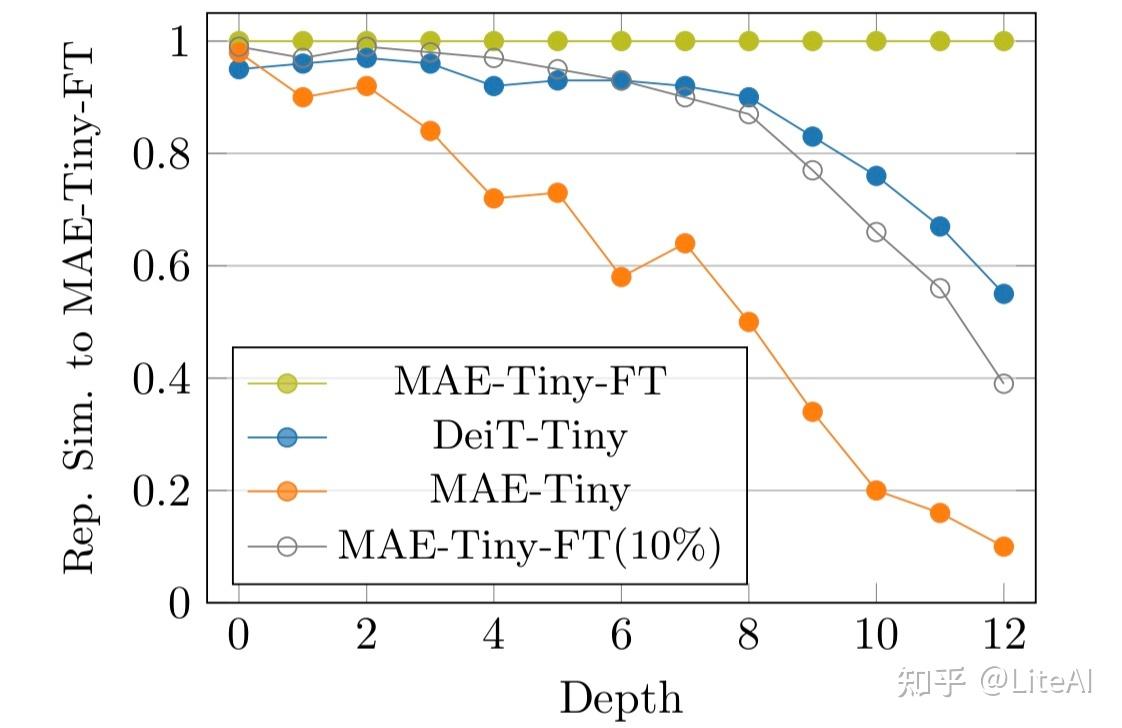 旷视孙剑团队2022将MAE推向ViT轻量化新作 | 近距离研究自监督轻量级视觉Transformer - 知乎