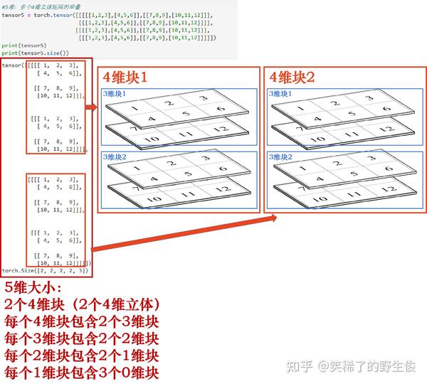 【torch笔记】图解tensor张量维度 知乎