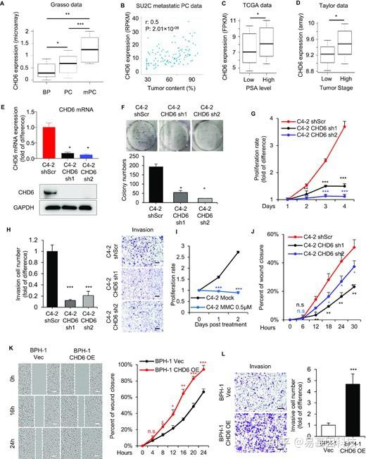 易基因｜ChIP-seq等实验揭示CHD6转录激活前列腺癌通路的关键功能 | 肿瘤耐药研究 - 深圳市易基因科技 - 博客园
