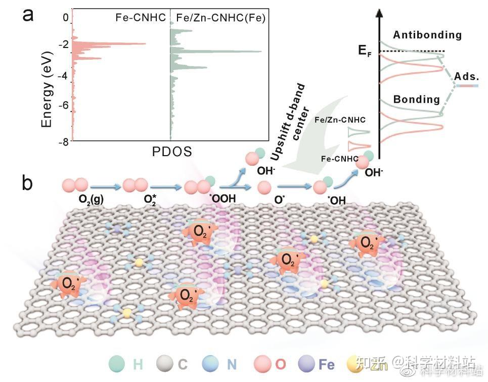 Energy Storage Materials：用于高效氧还原反应电催化剂中密集的FeN4位点/轴向配体的的d带调控策略 - 知乎
