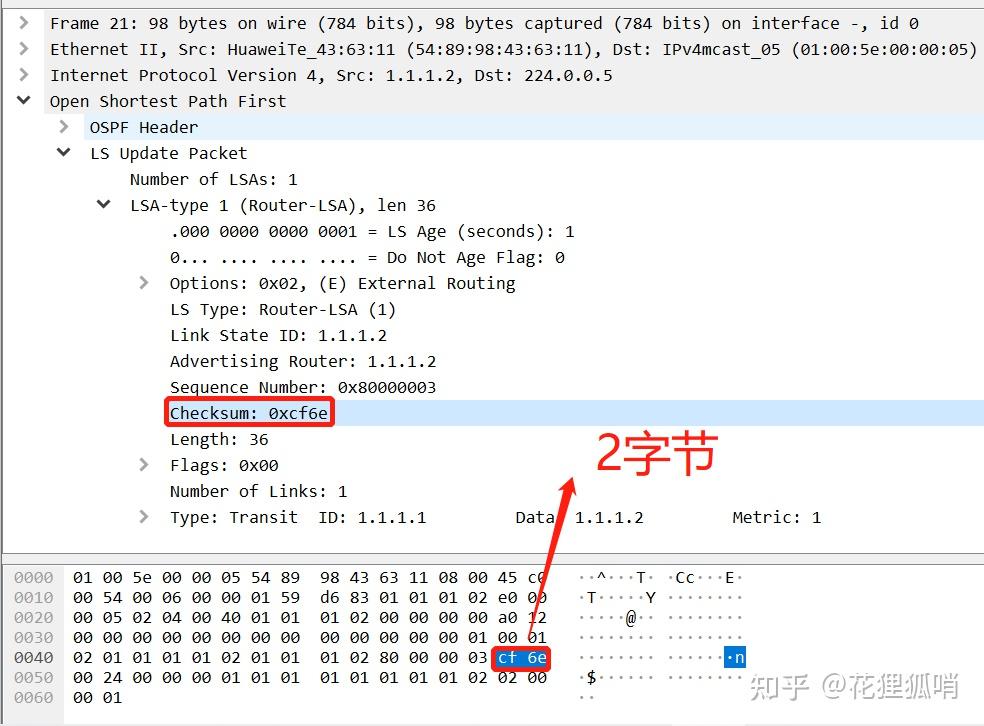 OSPF LSA报文格式总结 - 知乎