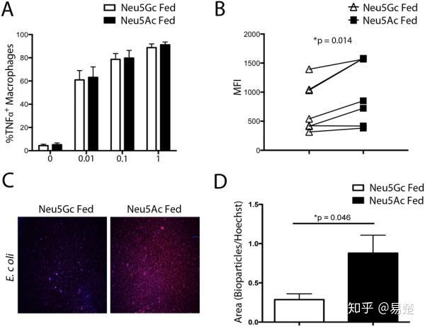 Neu5Ac——脑营养？ - 知乎