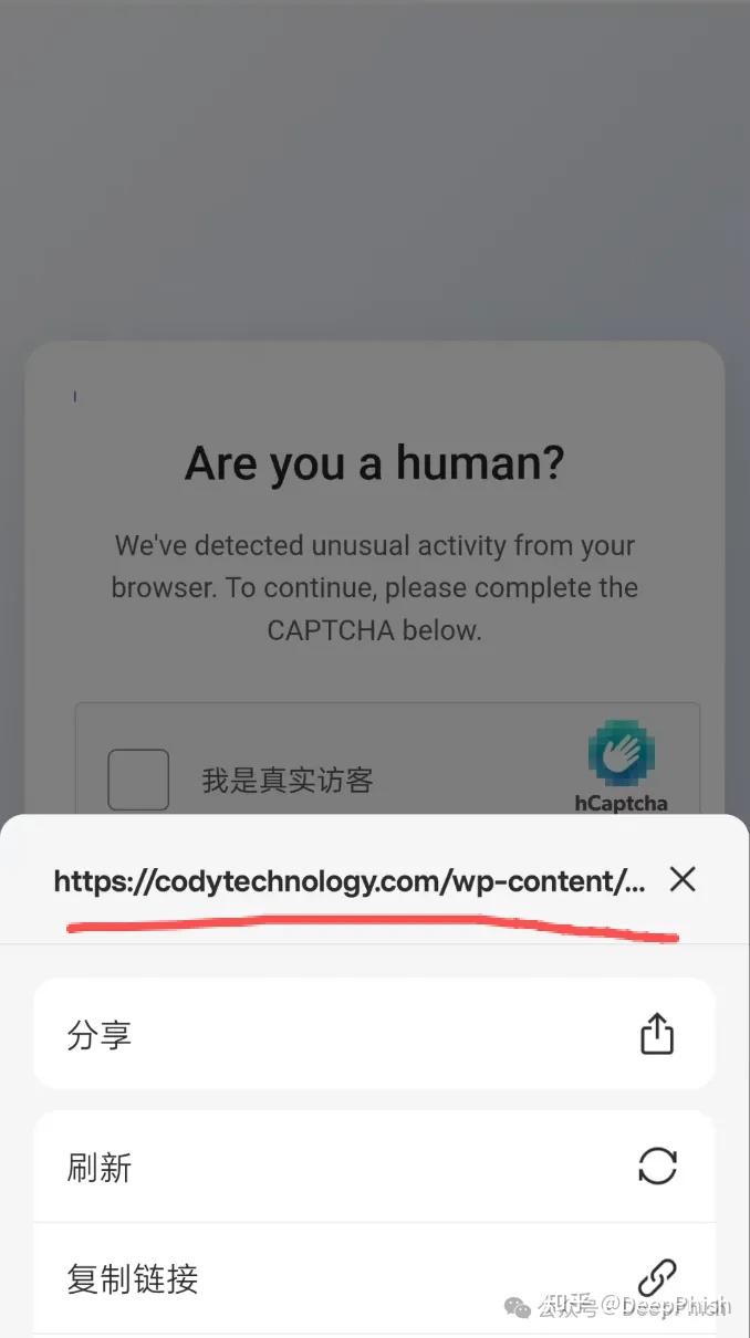 【钓鱼预警】针对Hostinger管理员的鱼叉钓鱼 - 知乎