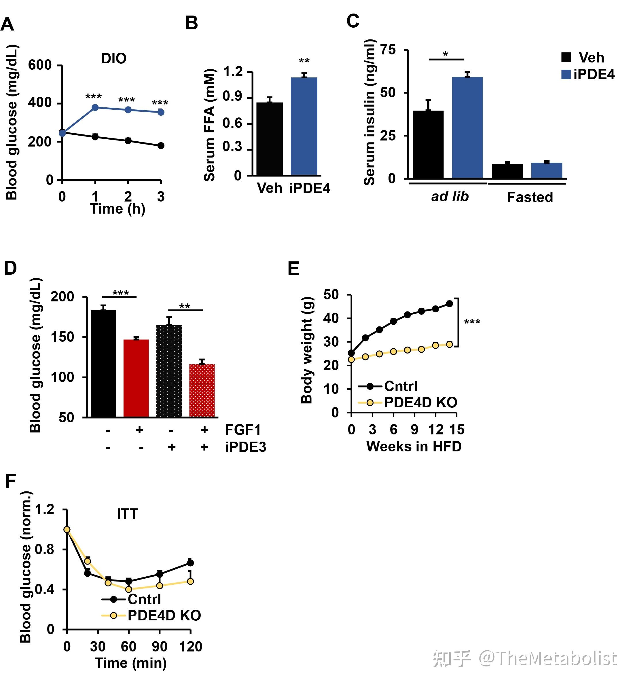 Cell Metabolism：FGF1破解胰岛素的“百年孤独” - 知乎