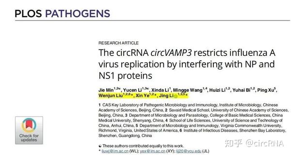PLoS Pathog丨中国科学院微生物研究所团队揭示circVAMP3通过干扰NP和NS1蛋白来限制甲型流感病毒的复制 - 知乎