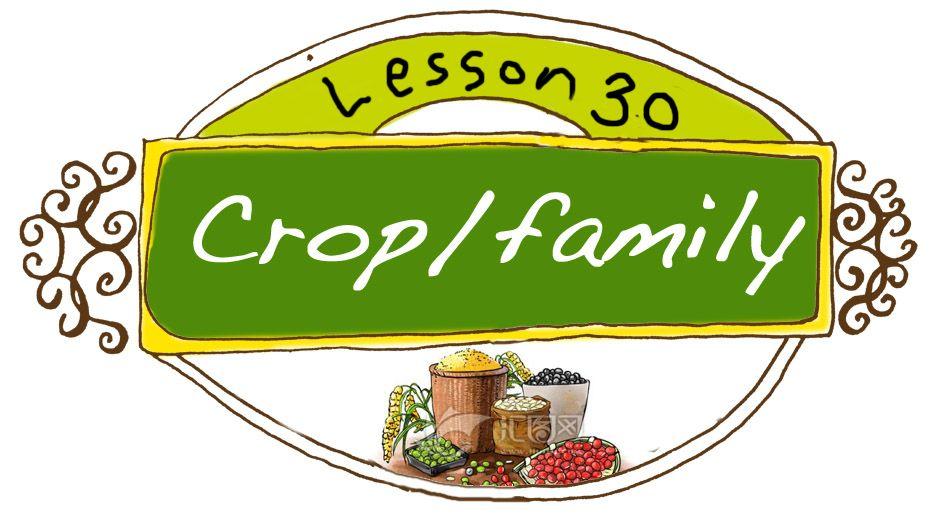 童年课堂 | 解剖农场Lesson 30 - 知乎