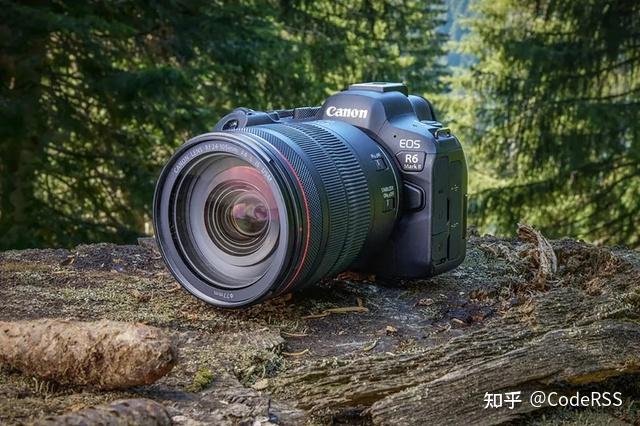 追上旗舰的 40 张连拍，佳能推出 EOS R6 Mark II - 知乎