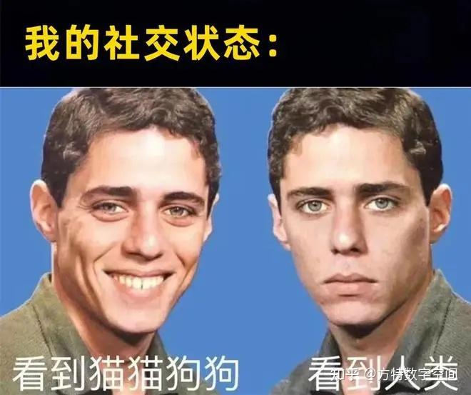 行业观察 | 数藏行业为何没有出圈的MEME文化 - 知乎